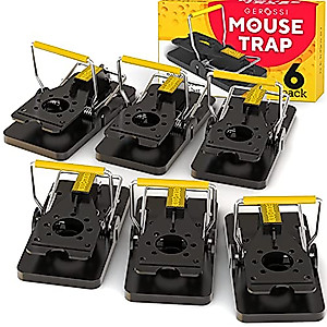 Instant Mouse Mice Traps Pack of 6 - for House, Indoor & Outdoor - Easy Setup & Reusable w/Powerful Spring - Quick & Effective Mousetrap Catcher, Best Traps to Remove Unwanted Rodent from Your Home