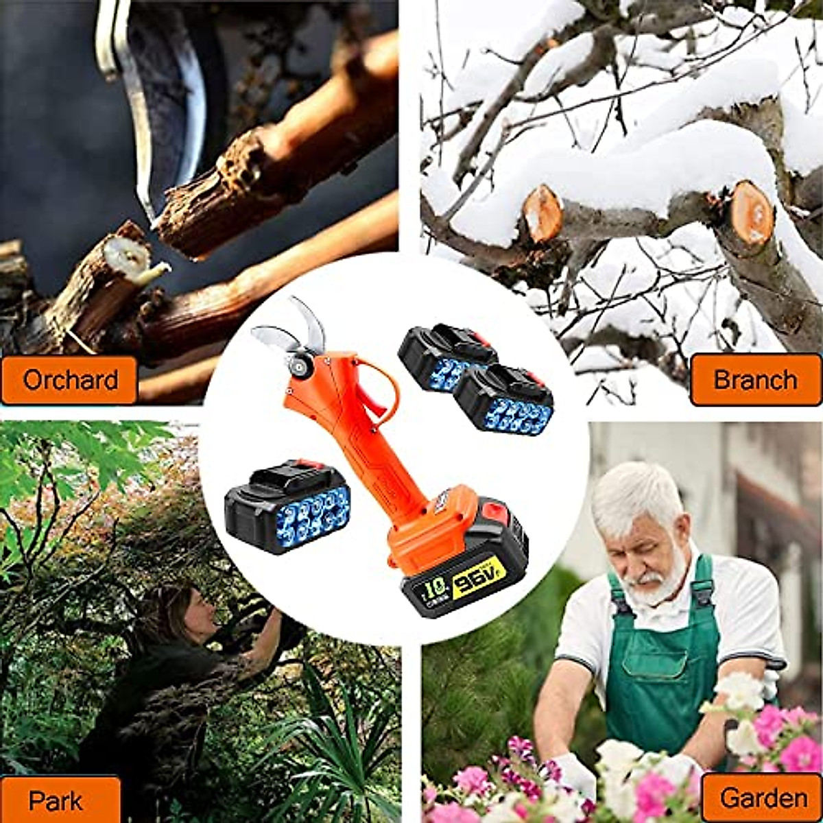 Vrseis Lithium Pruning Shears 21V Electric Secateurs SK5 Sharp Blade Branch Cutter 1 Inch/25mm Cutting Diameter with Toolbox Portable Rechargeable Garden Fruit Tree Bushes Trimmer