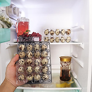 KUKLIPJIM 150 Pack Quail Egg Cartons, Clear Plastic Quail Egg Trays, Holds up to 20 Quail Eggs Securely - Your Ultimate Small Eggs Carton Holders for Bulk Storage and Display