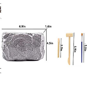 Dinosaur Fossils Dig Kit for Kids，Dig Up Dinosaurs Skeleton Set, Archaeology for Kids Educational Toys,Dinosaur Toys for Kids 8-12，Kids Gifts，Science Kits