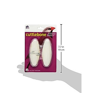 Prevue Pet Products Bpv1142 2-Pack 4-Inch Bird Cuttlebone, Small