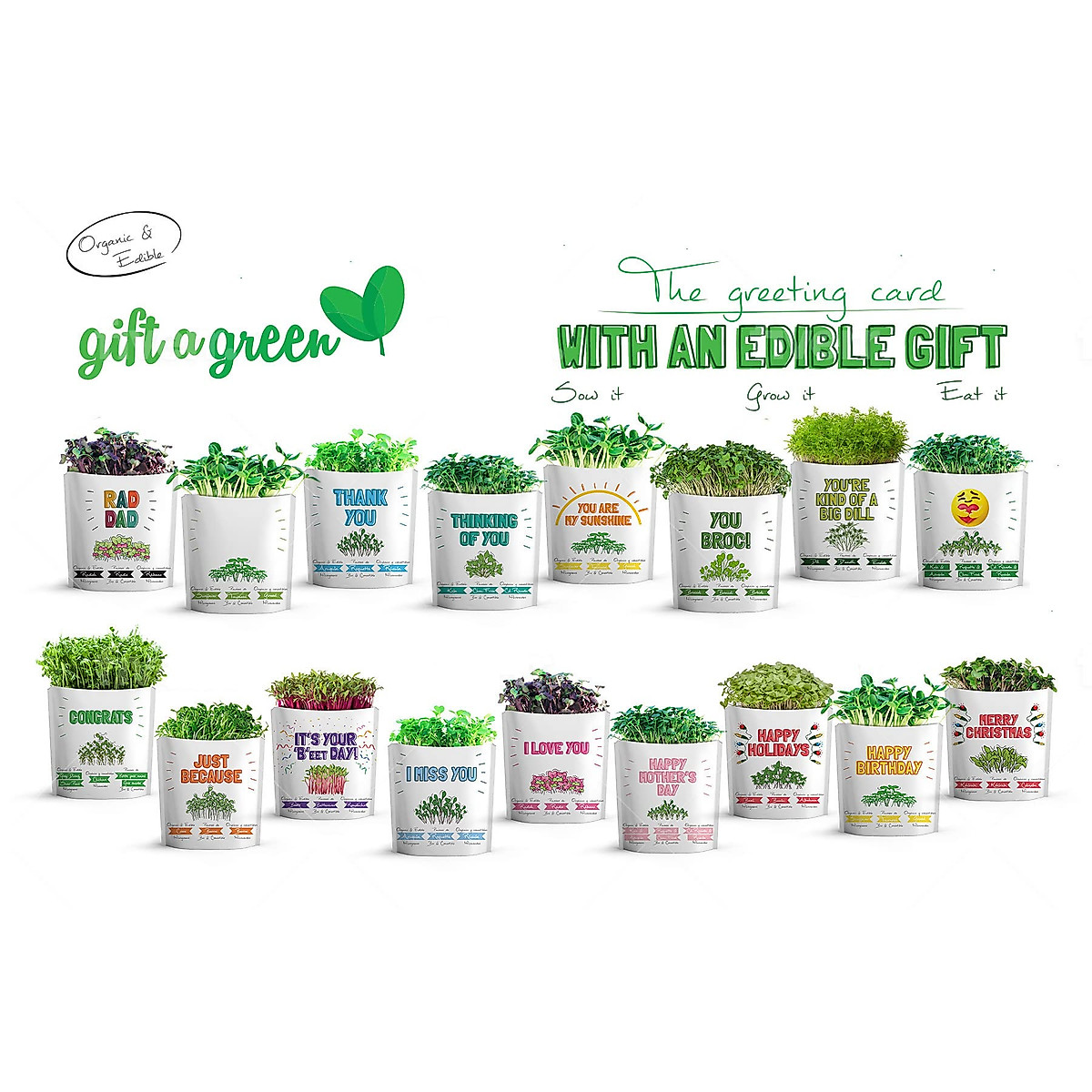 GIFT A GREEN HAPPY BIRTHDAY Greeting Card Greeting Cards with Organic Microgreens! Just Like A Post Card, Simply Mail and Recipient Gets to Grow & Eat | Cards for All Occasions | 1 PACK