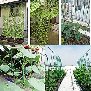 ZERIRA 2 Pack Plant Trellis Netting Plant Support Climbing Net Nylon Trellis Netting Garden Netting for Plants Cucumbers, Flowers Vine, Vegetables (5.9Ft x 8.86Ft)