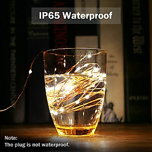 Lighting EVER Fairy Lights Plug in, 33ft 100 LED String Lights for Bedroom, Warm White Copper Wire Lights, Waterproof Indoor Outdoor Decorative Fairy Lights for Patio, Garden, Balcony, Vases, Craft