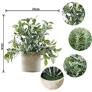 Gleenwave Artificial Plants 3 Potted Mini Fake Plants Artificial Eucalyptus Decorative Plants for Home Decor Indoor Room Table Office