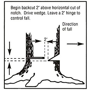 Cold Creek Loggers - Made in USA ! - 5.5 Inch Felling Wedge Chain Saw Logging Supplies Set of 4