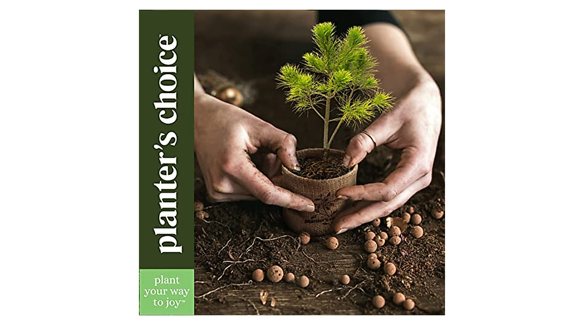 Bonsai Starter Kit - Grow Unique Miniature Trees | Perfect Gardening Gift