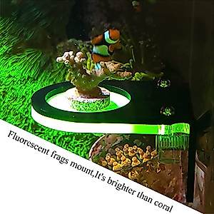 Coral Frag Rack Fluorescent Coral Brackets Holder Marine Reef Aquarium Spare Parts Cultivating Live Coral (Red Yellow Orange Green)