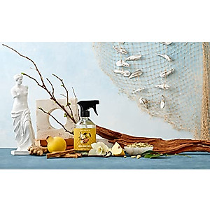 Caldrea Multi-surface Countertop Spray Cleaner, made with birch bark, cardamom seed essential oil, vegetable protein extract, Vanilla Quince Santal scent, 16 oz