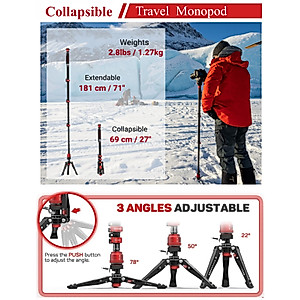 IFOOTAGE Cobra 3 Monopod C180F-P with K5S Fluid Head, Professional Portable Travel Monopod Kit for Canon Nikon Sony Olympus Panasonic DSLR Camera