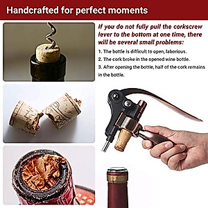 Wine Bottle Opener Corkscrew Set-[2020 Upgraded] Holleringlan Wine Opener Kit With Foil Cutter,Wine Stopper And Extra Spiral