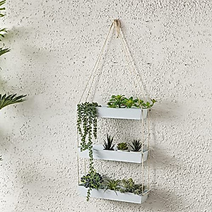 LaLaGreen Hanging Wall Planter - 16 Inch Three Tier Plant Hanger for Succulent Indoor Herb Planter Modern White Boho Metal Wall Plant Holder Decor, Vertical Garden Hanging Planter Shelf Large Outdoor
