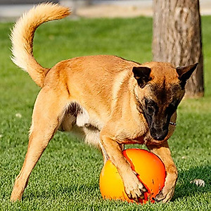 Virtually Indestructible Best Ball for Dogs, 10-inch