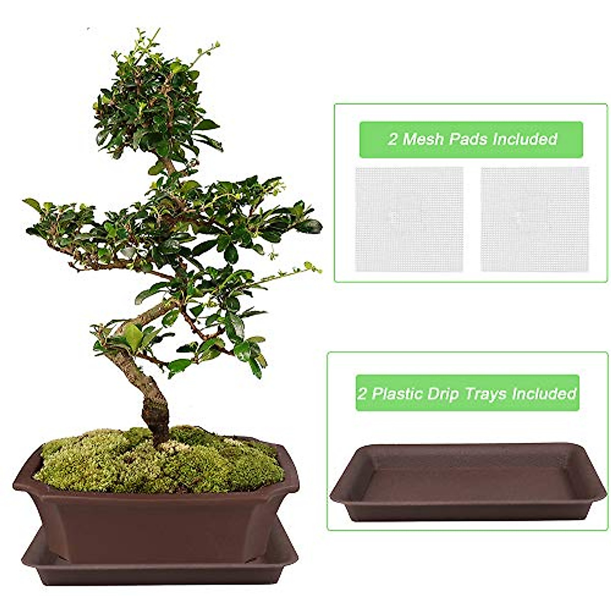 MUZHI 2 Pack 8" Unglazed Ceramic Bonsai Tree Pot Training Planter with Drainage Wiring Hole, Breathable Handmade Zisha Pottery Growing Plant Pot with Mesh Drip Tray Indoor Outdoor
