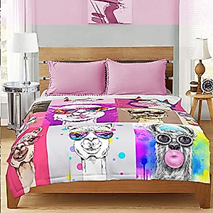 Llama Blanket Premium Velvet Lightweight Flannel Blanket Cute Soft Warm Throw Blanket Fluffy Cozy Fleece Blanket Llama Bed Blanket Suitable Available in All Seasons for Women Men Boys Girls(60"x80")