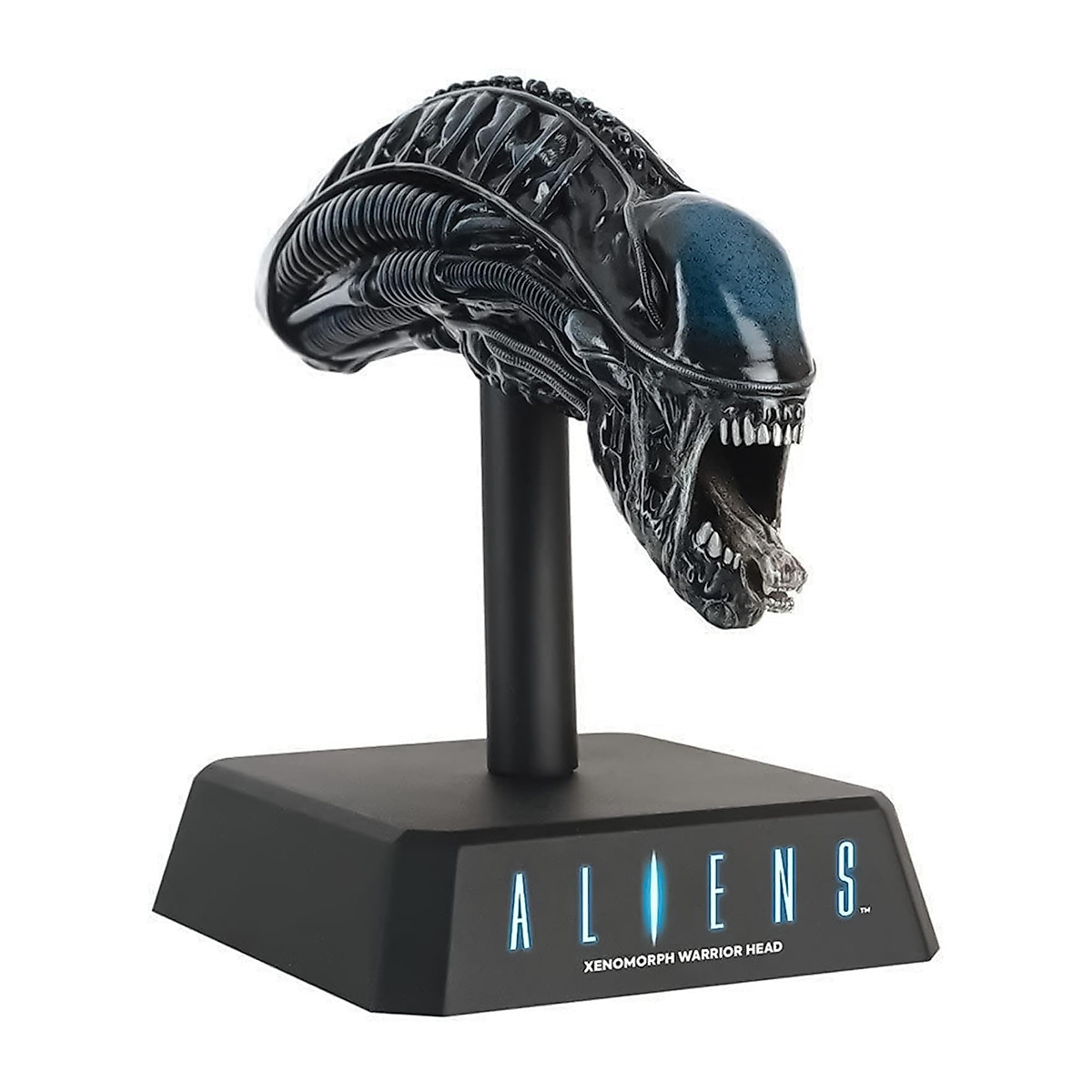 Hero Collector Eaglemoss Alien: Xenomorph Head Prop Replica | Alien & Predator Movie Museum | Model Replica