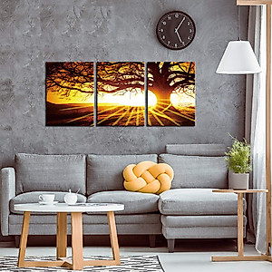 Nachic Wall 3 Panels Wall Art Canvas Prints Big Trees in Sunset Pictures Relax Natural Landscape Painting Ready to hang for Home Office Living Room Bedroom Wall Decor with Frame Ready to Hang