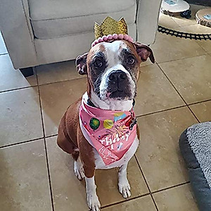 ADOGGYGO Dog Birthday Bandana Hat Set Dog Puppy Birthday Party Supply Dog Bandana Boy Girl Puppy Birthday Hat Scarf for Small Medium Dog Pet (Pink Scarf & Crown)