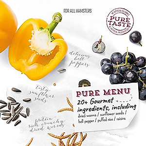 Witte Molen Pure Hamster Food Seed Mixture Mealworms, Sunflower Seeds, Puffed Rice, Grape Nuts, No Artificial Preservatives Dry Food, 1.7 lbs - 5 Pack