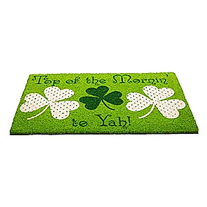 DII Indoor/Outdoor Natural Coir Fiber Spring/Summer Doormat, 17x29, Top of The Mornin' to Yah!