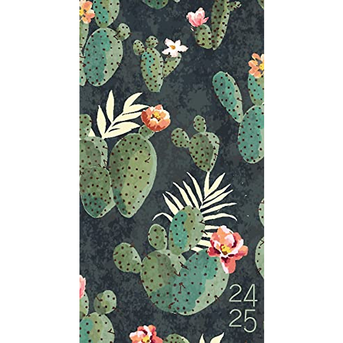 Willow Creek Press Cactus 2-Year January 2024 - December 2025 Monthly Pocket Planner (3.5" x 6.5")