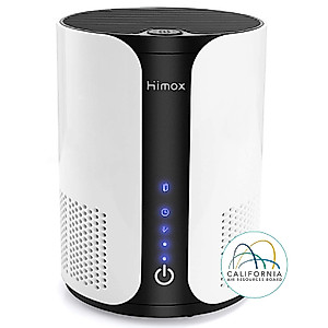 Himox AP01 Compact Air Purifiers for home and 2 Pack Genuine Replacement H13 True HEPA Medical Grade Flitration Filter 100% Ozone Free