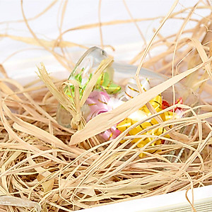 300 g Natural Raffia Paper Ribbon for Florist Bouquets Decoration Crafts ,Christmas Raffia Gift Wrap Ribbon,Halloween Total 6 x 50g