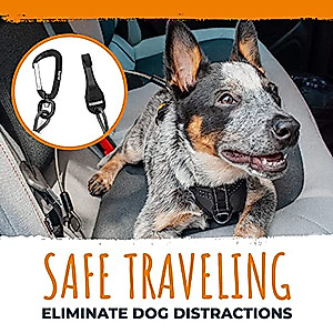 Mighty Paw Dog Seat Belt - Chew Proof Metal Pet Safety Belt, Steel Braided Vehicle Restraint, No Chew Tether Seatbelt with Rock Climbers Carabiner (Black, 60cm)