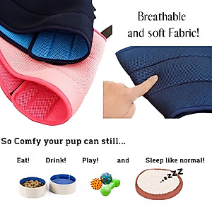 Generic Extra Large Pet Recovery Collars Extra Large Blue