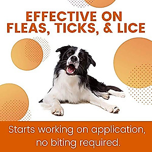 ZoGuard Plus Flea and Tick Prevention for Dogs (Small - 5-22 lb)