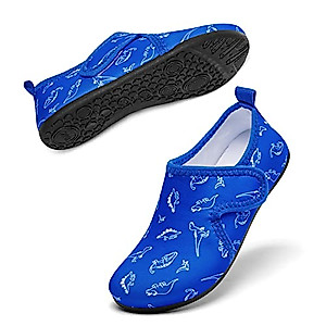 Racqua Kids Water Shoes Boys Girls Beach Swim Quick Dry Shoes Outdoor Barefoot Sports Aqua Socks Big Kid Dinosaur/Blue Size 1-2