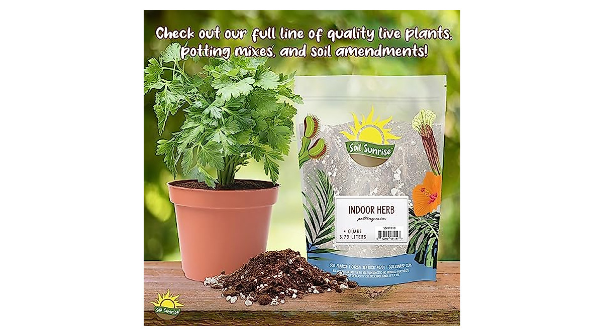 Lucky Bamboo Plant Potting Mix - Organic Soil for Growth