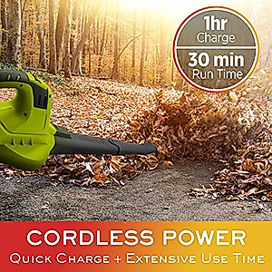 Mueller UltraStorm Cordless Leaf Blower, 20 V Powerful Motor, Electric Leaf Blower for Lawn Care, Battery Powered Leaf Blower Lightweight for Snow Blowing (Battery & Charger Included)