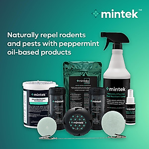 Mintek™ EZ Disk (2-Pack)