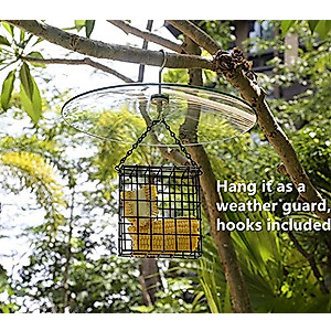 13 Inches Clear Glass Weather Guard and Squirrel Baffler for Wild Bird Feeders (Clear 1Pack)
