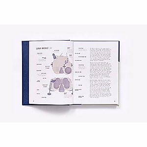 Apollo: A Graphic Guide to Mankind's Greatest Mission