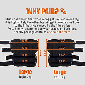 NeoAlly Dog Canine Braces for Rear Legs Super Supportive with Dual Metal Spring Inserts to Stabilize Dog Hind Legs, Help Dogs with Injuries, Sprains, Arthritis, ACL (L Pair)
