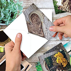 The Best Card Company - 10 Blank Heart Note Cards Boxed (4 x 5.12 Inch) - All Occasion Heartfelt Love Card Assortment - Heartscapes AM6838OCB-B1x10