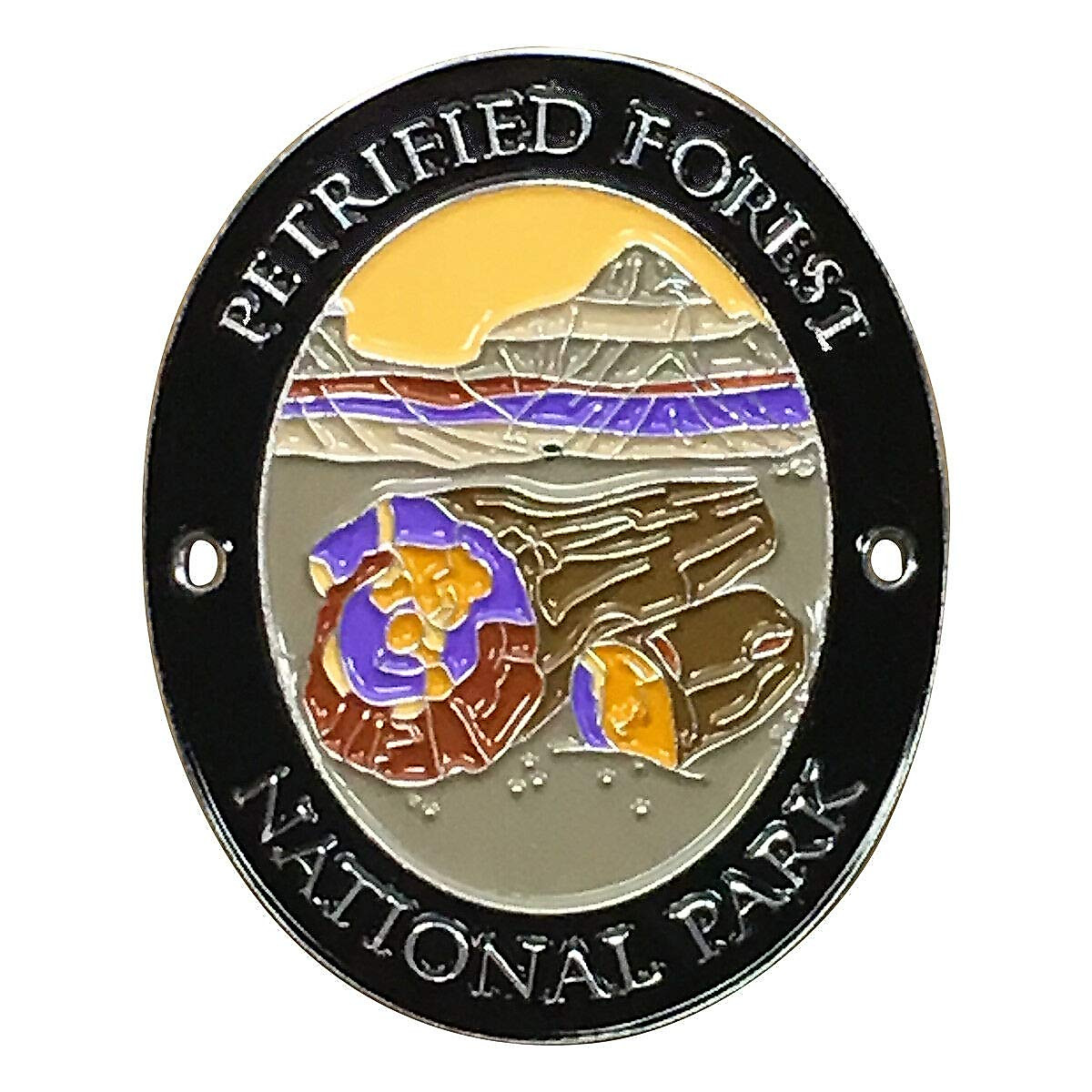 Petrified Forest National Park Walking Hiking Stick Medallion - Arizona