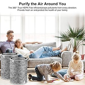 NXBHG 2 Pack HP201 Replacement Filter Compatible with Shark HP201, HP202, UA205, AP1000 and for Shark HC501, HC502 Air Purifier MAX, Absorb 99.97% Particulate, Compare Part HE2FKBASMB, HE2FKBAS.