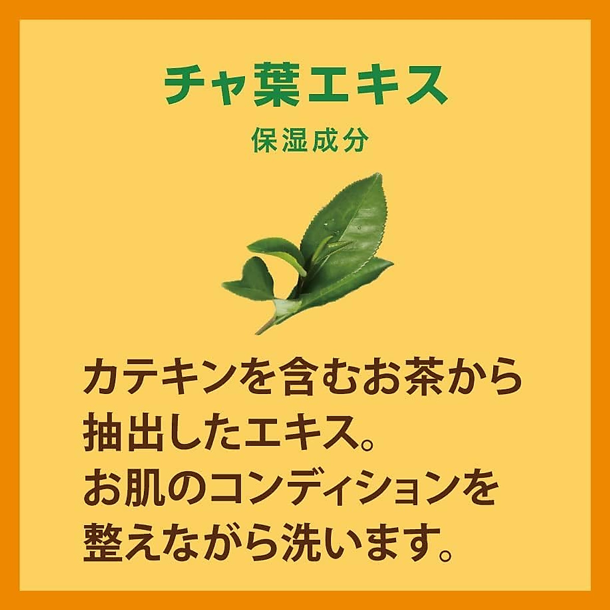 Family Persimmon Soap (Pack of 2), 0.31 Pounds