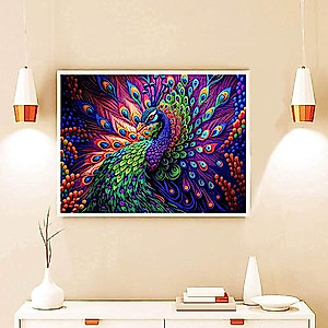 Peacock Stamped Cross Stitch Kits - Colorful 11CT Printed Easy Pattern Needlepoint Kits Embroidery Crafts for Adults Beginners Gift 12x16 Inch