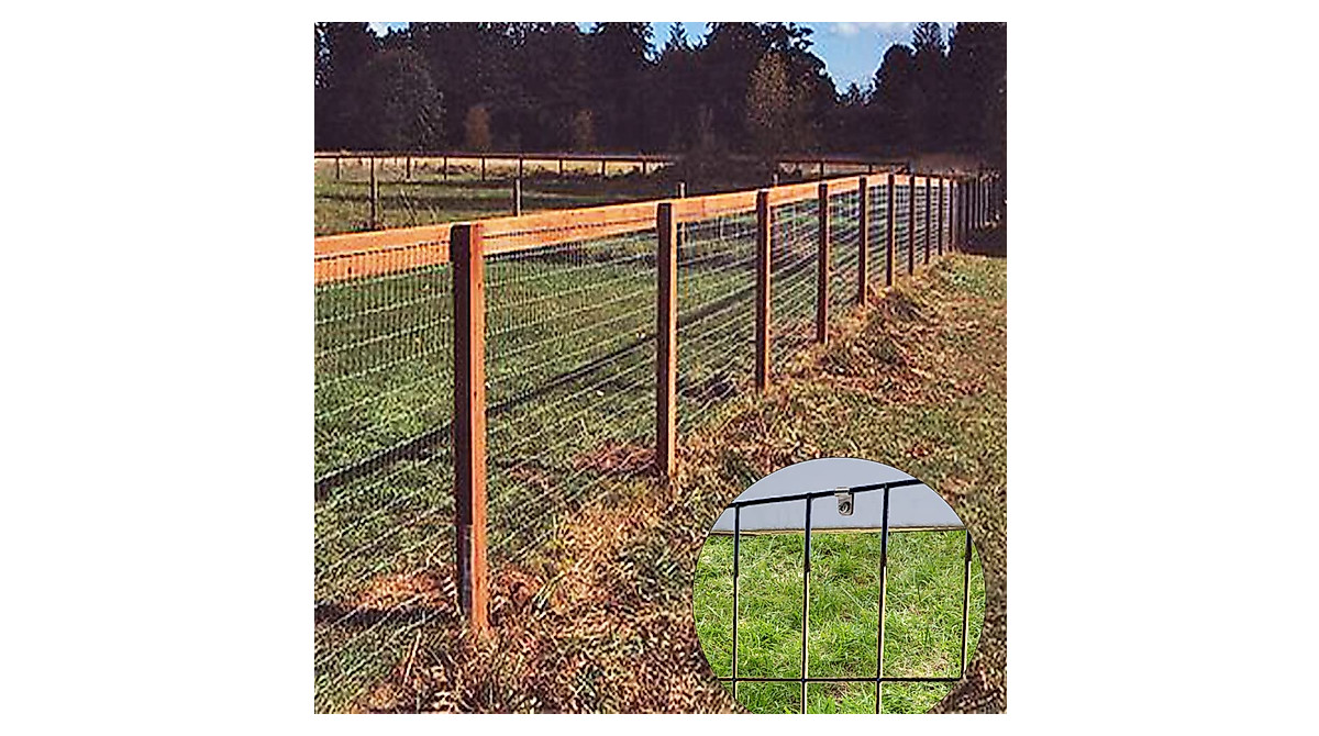 Secure Fencing with 100 Stainless Steel Wire Clamps