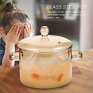 Hemoton 64oz(1.9L) Glass Saucepan with Cover Dual Handles Pot, High Boron Glass Simmer Pot for Stovetop - for Pasta Noodle, Soup, Milk, Tea (Amber)