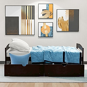 Lifeand Twin Size Daybed with 2 Drawers,Wood Storage Platform Bed for Kids Teens and Adults,No Box Spring Needed,Espresso