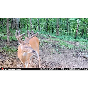 Stealth Cam Flashback 40MP 0.4 Sec Trigger Speed True Color Nighttime Photos White Xenon Flash App-Controlled Hunting Cellular Trail Camera, Available on Verizon & AT&T