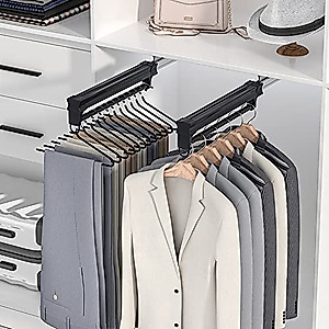 Pull Out Clothes Hanger Rod Adjustable Wardrobe Clothing Rail,Extendable Clothes Rail,Closet Clothes Hanger Rail (40CM)