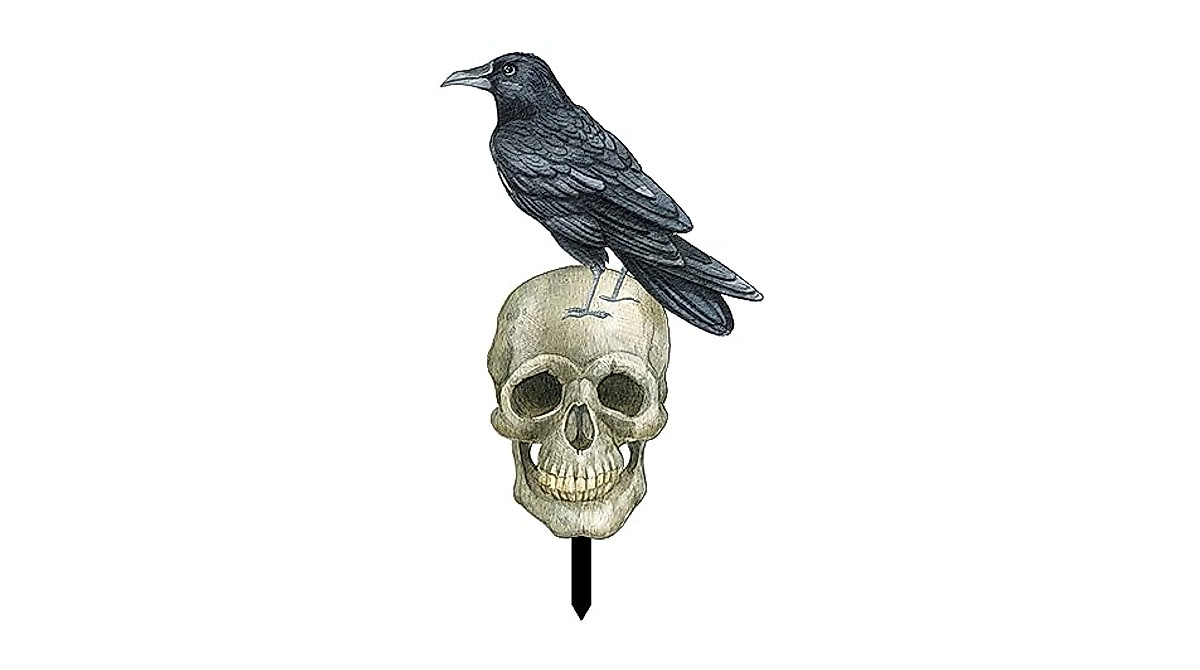 Scary Crow Skeleton Yard Sign for Halloween Decor
