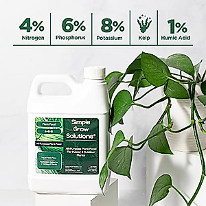 All Purpose Liquid Plant Food - House Plant Fertilizer- Liquid Fertilizer for Indoor Plants & Vegetable Garden- Concentrated Plant Nutrients - Green, Growth & Hardiness - Simple Grow Solutions- 32 Ounce