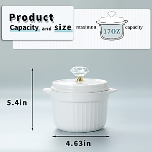 Bacon Grease Container Keeper with Crystal Lid and Strainer, 17 oz Ceramic Frying Oil Storage Can Container for Countertop (Gold)